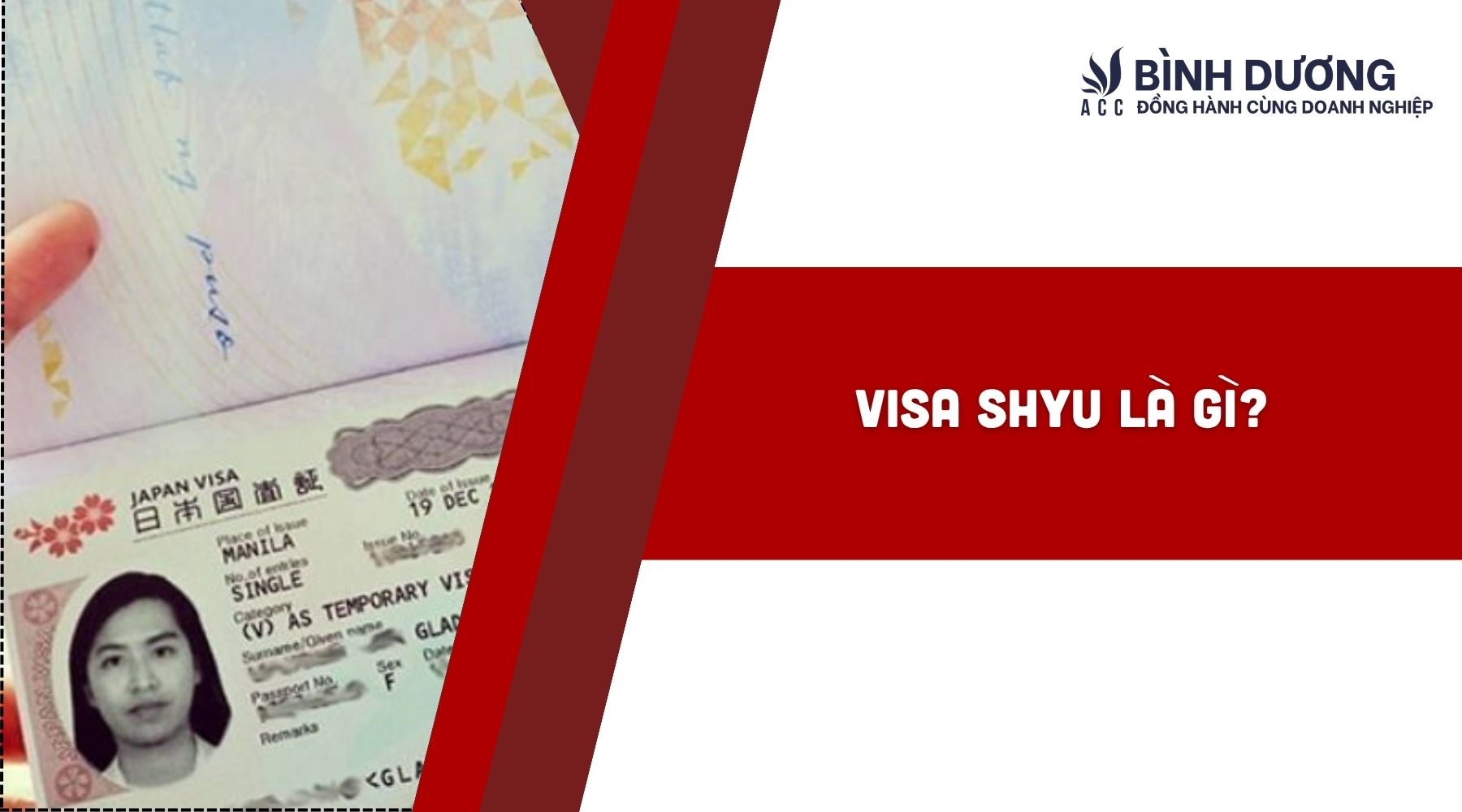 Visa Shyu là gì?
